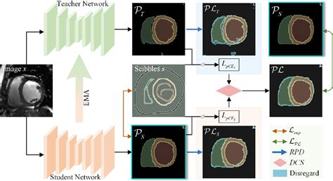 Scribblevs Scribble Supervised Medical Image Segmentation Via Dynamic