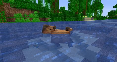 Capybara Mod Para Minecraft 1 21 5 1 19 3 1 18 2 1 17 1 1 16 5