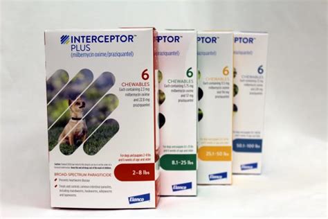 Interceptor Plus Palmer Veterinary Clinic