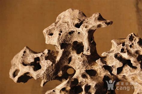 怎么快速让太湖石包浆 太湖石怎么养护和盘玩 如何用茶水养太湖石 大山谷图库