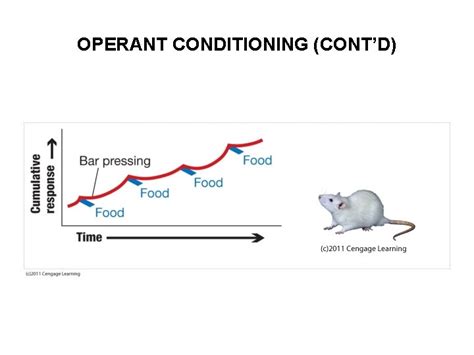 Module 10 Operant Cognitive Approaches Operant Conditioning Operant