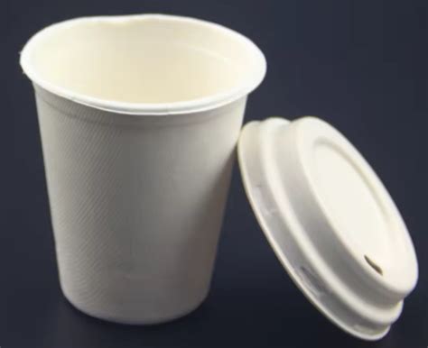 Why Is The Disposable Cup Hs Code Important For Import And Export