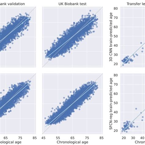 Correlations Between Chronological And Brain Predicted Age In Years