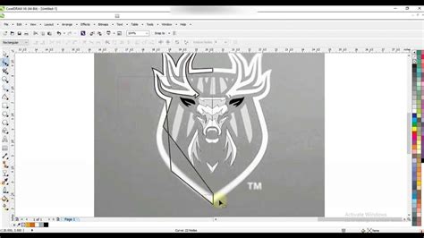 Coreldraw Tracing Techniques For Experts And Beginners Ahsan Sabri Youtube