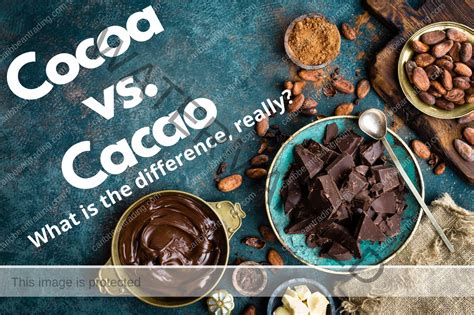 Whats The Difference Between Cocoa And Cacao Cocoa Vs Cacao