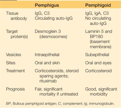 Pemphigue Vulgaris Vs Mucous Membrane Pemphigoid Medizzy