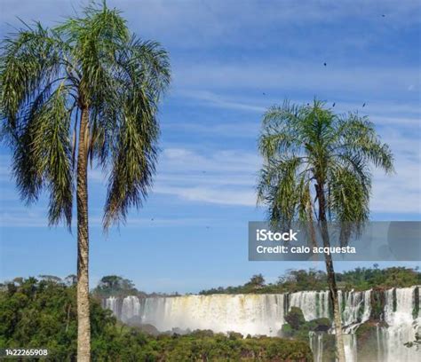 이과수는 브라질 아르헨티나 국경에서 떨어진다 유네스코 세계 문화 유산 0명에 대한 스톡 사진 및 기타 이미지 0명 강 경관 Istock