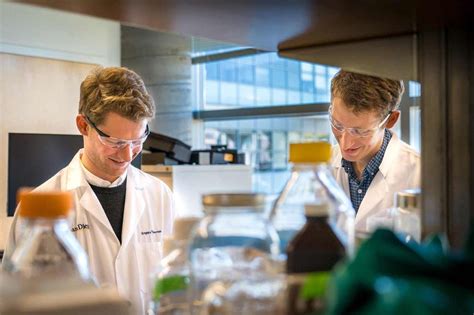 Demystifying The Nj Cannabis Testing Labs Application Process