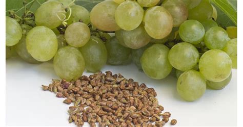 Как да се ползват гроздовите семки Български Фермер