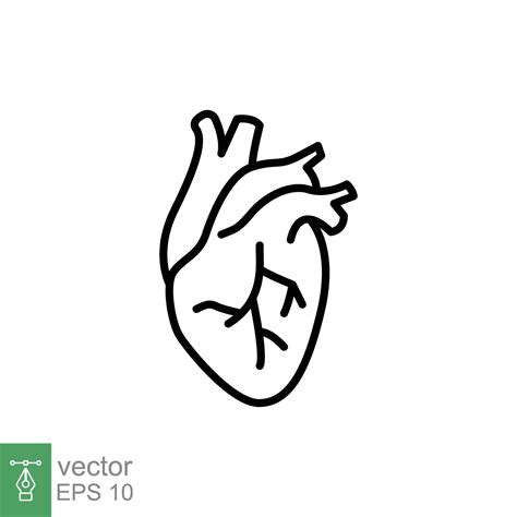 Human Heart Icon Simple Outline Style Internal Organ Real