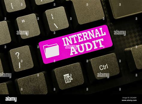 Writing Displaying Text Internal Audit Business Idea Evaluates The