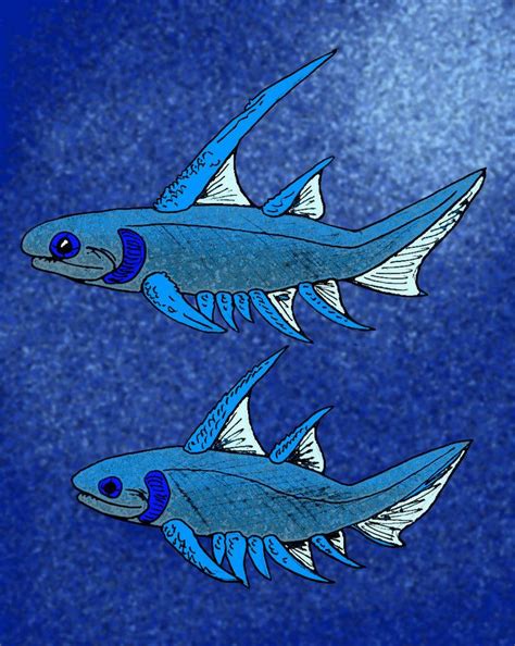 Parexus Alchetron The Free Social Encyclopedia