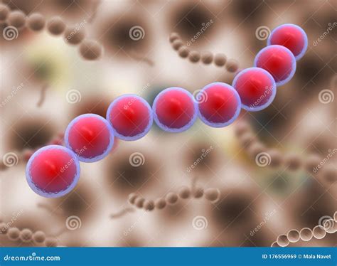 Cocci Shape Of Bacteria Streptococci Type Bacteria Stock Illustration Illustration Of Virus