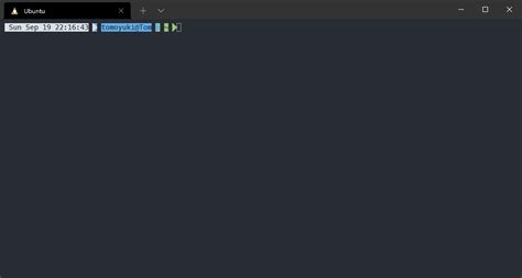 Display Error · Issue 11275 · Microsoftterminal · Github