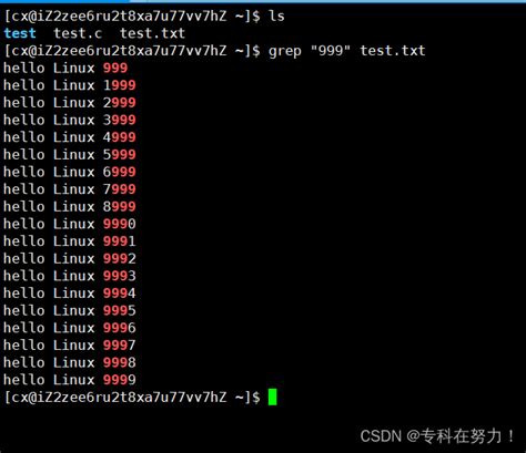 linux基本指令学习（入门） linux入门指令 csdn博客