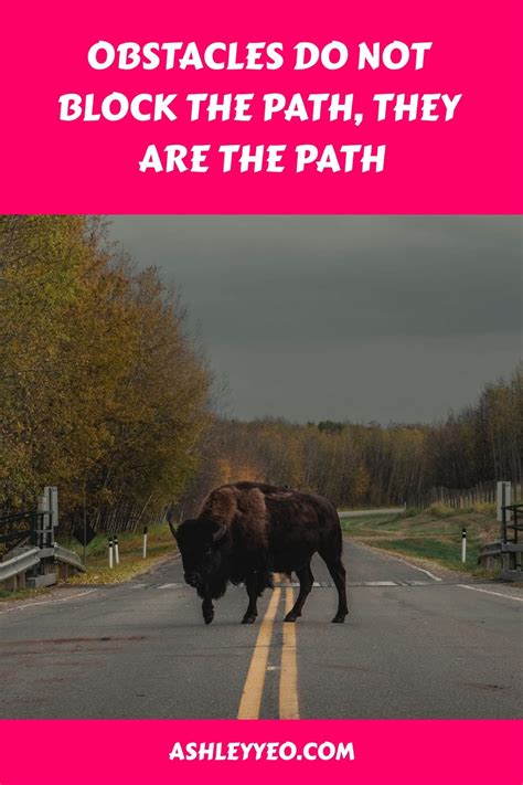 Obstacles Dont Block The Path They Are The Path Ashley Yeo
