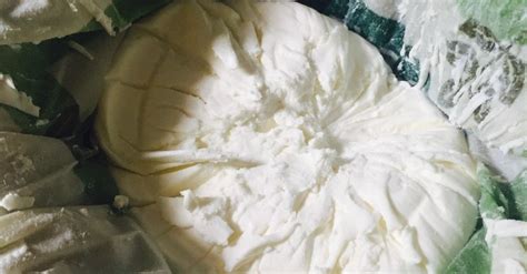 치즈만드는법 집에서 코티지치즈 만들기리코타치즈와 차이점