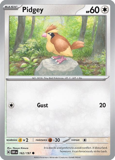 Pidgey 162197 Obsidian Flames Pokemonkaartnl