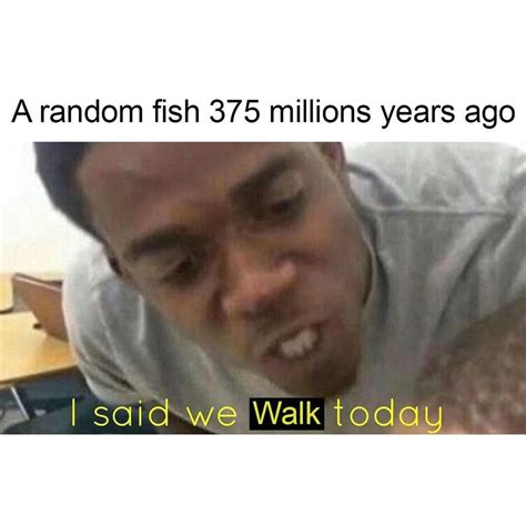 A Random Fish 375 Millions Years Ago I Said We Walk Today Funny