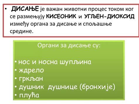 систем органа за дисање Pptx