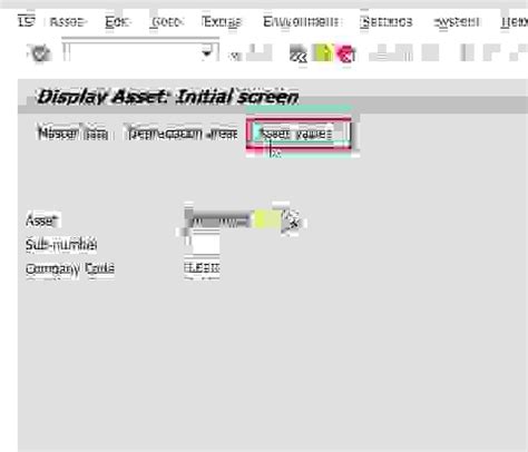 T Code AW01N Display Asset Values