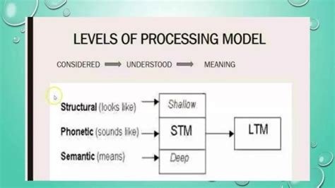 Levels Of Processing An Ability To Learn And Remember