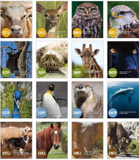 Myers Briggs Personality Animals