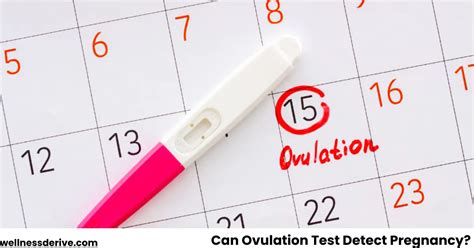 Can Ovulation Test Detect Pregnancy Heres The Truth