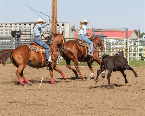 44th Annual Richland County Rodeo Club Youth And High School Rodeo The Roundup