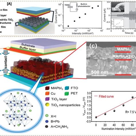 A 3d Illustration Of Self‐powered Photodetector With 3d Dendritic Tio2