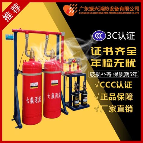 管网七氟丙烷灭火装置 广东振兴消防设备有限公司