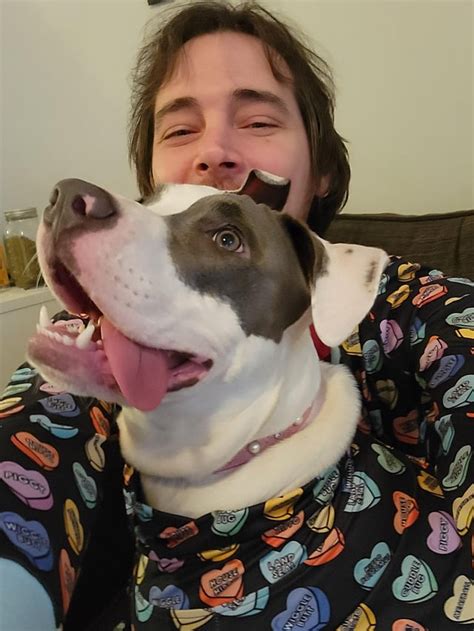 Molly Knows We Match She Isnt Even Embarassed Rpitbullsinjammies