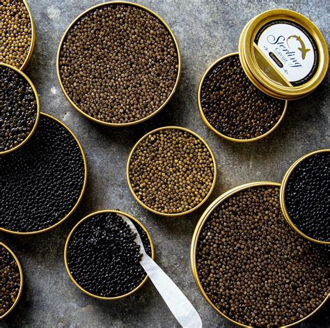 Exploring The Age Old Question Is Caviar Kosher Sterling Caviar