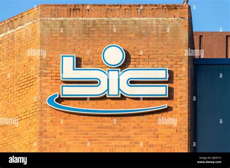Bic Logo