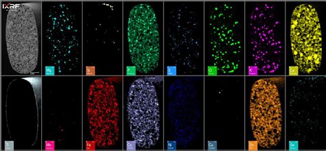 Ixrf Systems On Linkedin Atlasxrf Microxrf Multivitamins