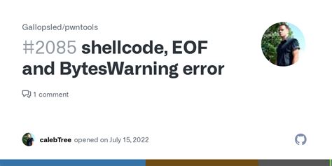 Shellcode Eof And Byteswarning Error · Issue 2085 · Gallopsledpwntools · Github