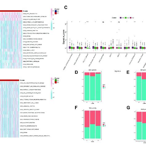 Single Cell Data Analysis Of Key Genes A T Sne Plot Of 8 Cell
