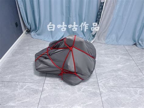 白白绝对不会咕咕咕 On Twitter 谁包的破粽子，灰了吧唧的，丢了算了！ 填充物：vitabondagem 作品编号0618