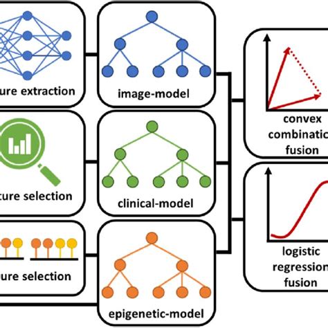 Schematic Diagram Of The Multimodal Classifier A Separate Random Download Scientific Diagram