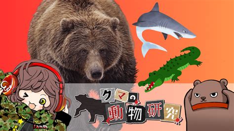 ホホジロザメが水族館にいない理由 クマの動物研究