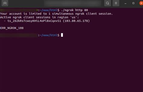 How To Access The Website Using Ngrok On Localhost On Ubuntu