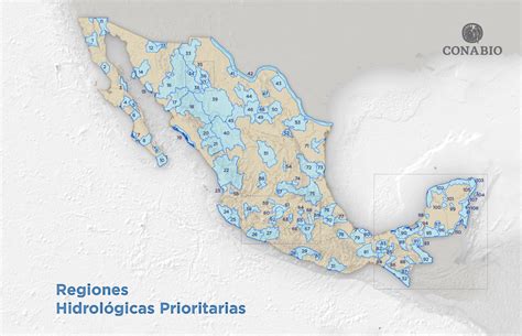 Regiones Hidrológicas De México Descubriendo La Riqueza Acuática Del