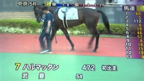 2014719中京5r メイクデビュー中京 サラ系2歳 1200m 芝・左（混合） 指定 新馬 Youtube