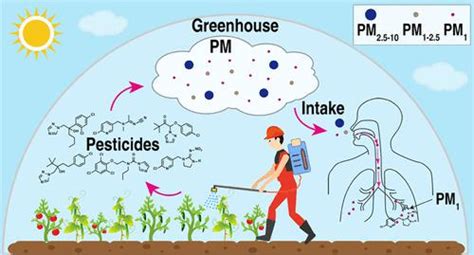 温室空气颗粒物中的农药：发生、分布、转化产物和潜在的人类接触风险 Environmental Science And Technology X Mol