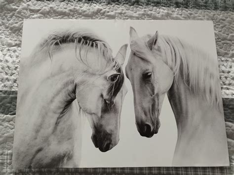 Две картини с коне гр София Люлин 7 • Olx Bg
