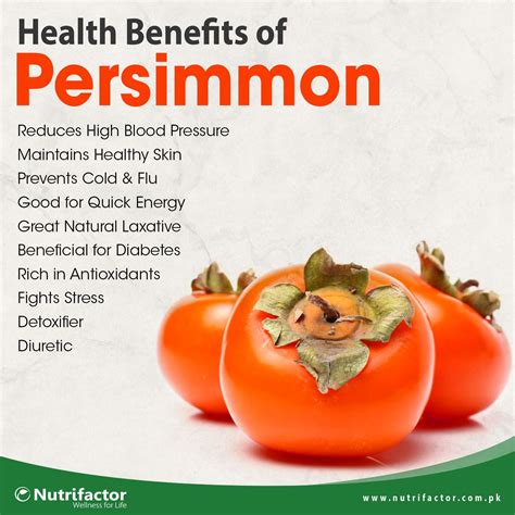 Is Persimmon Good For Diabetes Nutritional Insights Diabetes Diet Life