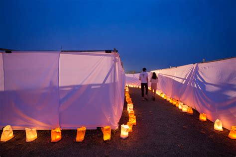 Cimf Masterplan — Farming Architecture