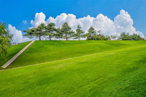 斜坡草地图片素材 斜坡草地设计素材 斜坡草地摄影作品 斜坡草地源文件下载 斜坡草地图片素材下载 斜坡草地背景素材 斜坡草地模板下载 搜索中心