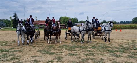 Ivan Nikolić Prvak Hrvatske U Jednopregu Vtv Doo