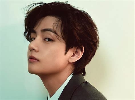 Is Kim Taehyung Gay Or Bi Sexuality Gender And Partner